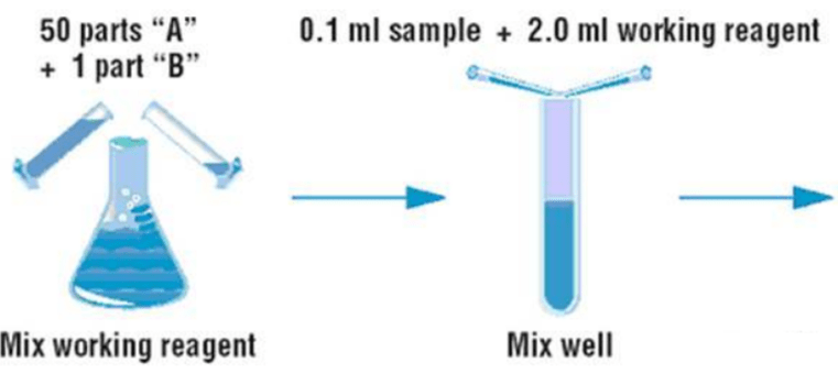蛋白质浓度测定之BCA法 - 点成生物