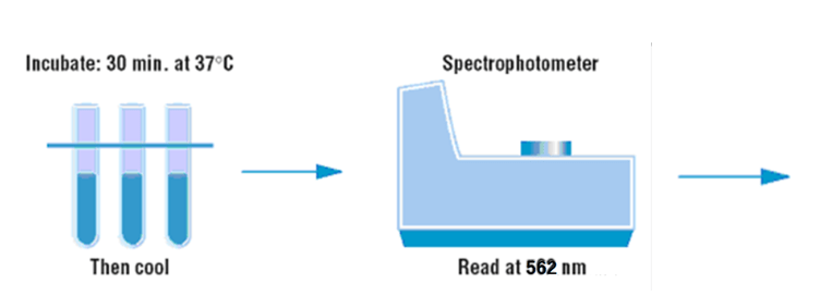 蛋白质浓度测定之BCA法 - 点成生物